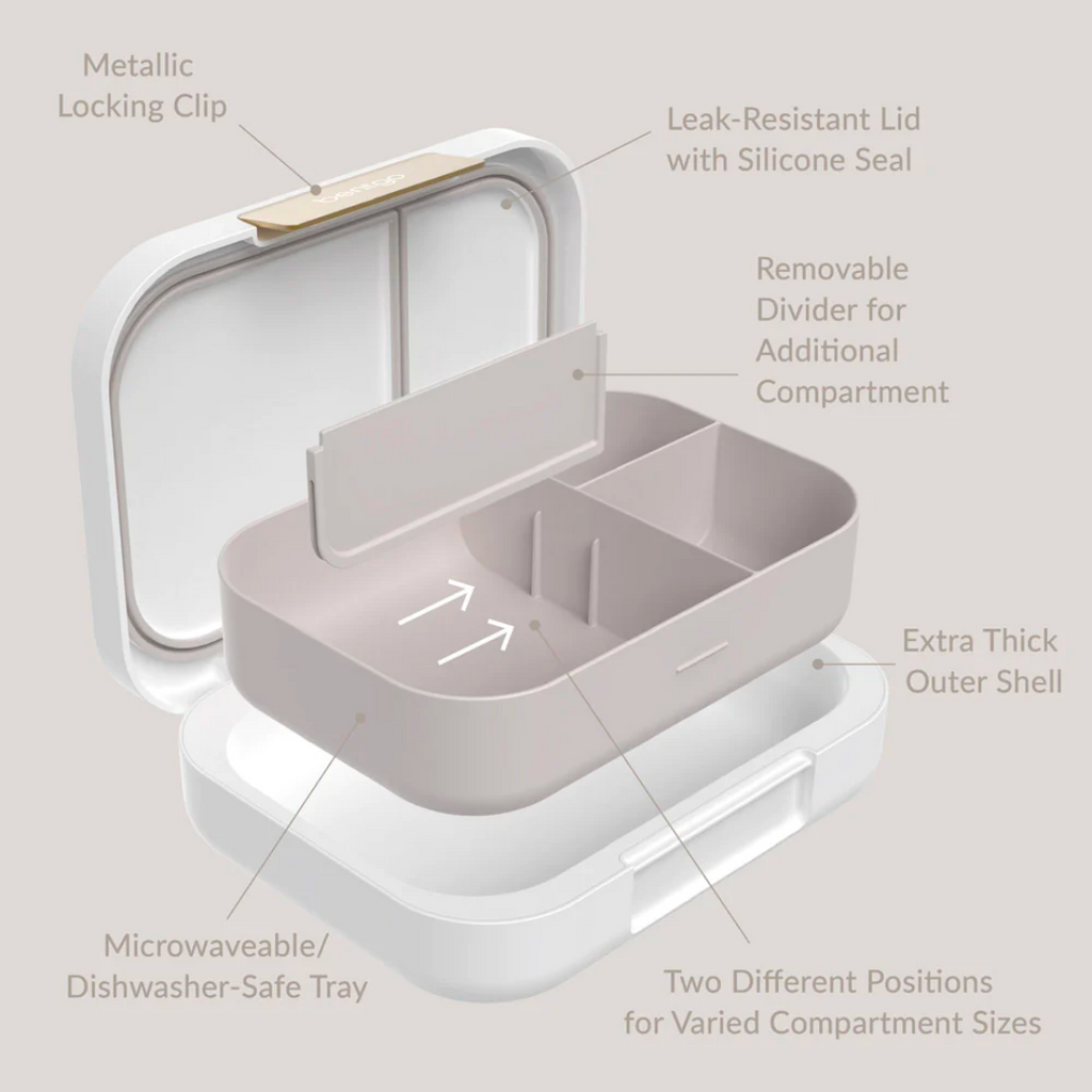 Bentgo Modern Lunchbox - Orchid – Lunchbox Mini