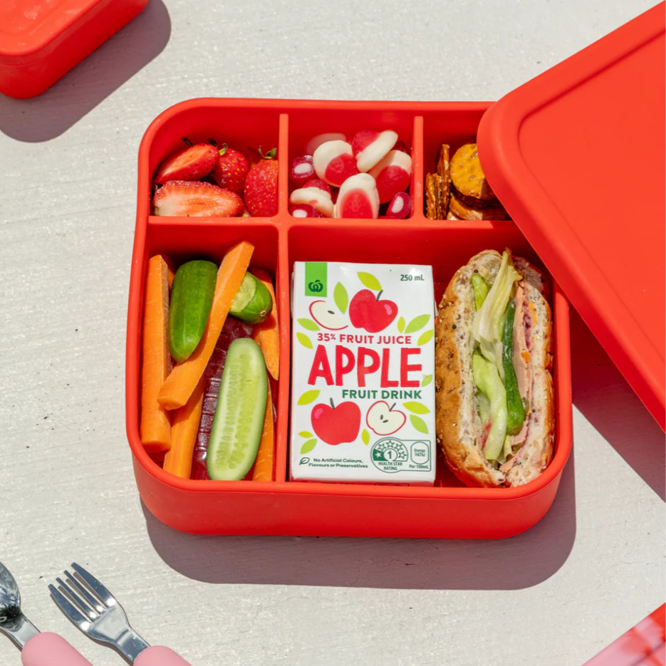 The Zero Waste People BIG Bento Lunchbox - Chilli – Lunchbox Mini