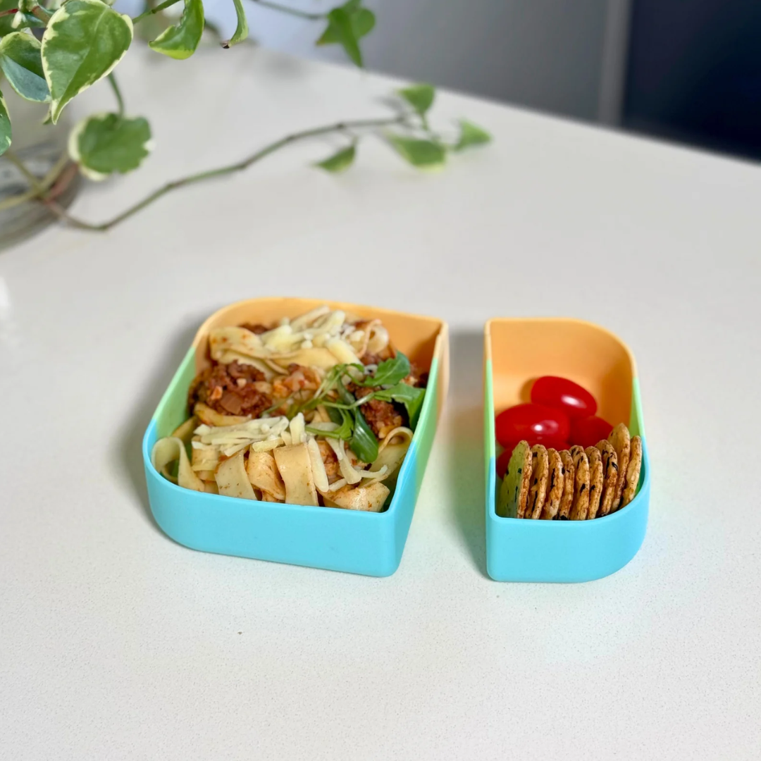 The Zero Waste People Rectangle Dividers (Set of 2) - Splice – Lunchbox ...